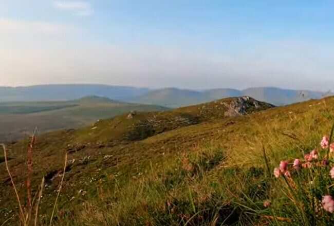 Are You a Shamrock Explorer? St. Patrick’s Travel Challenge! – Do You ...